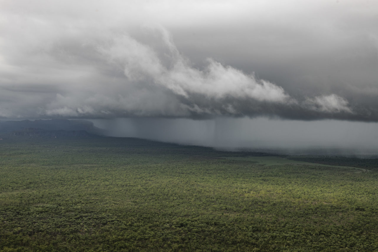 New research explains why barramundi switch sex - NESP Resilient ...