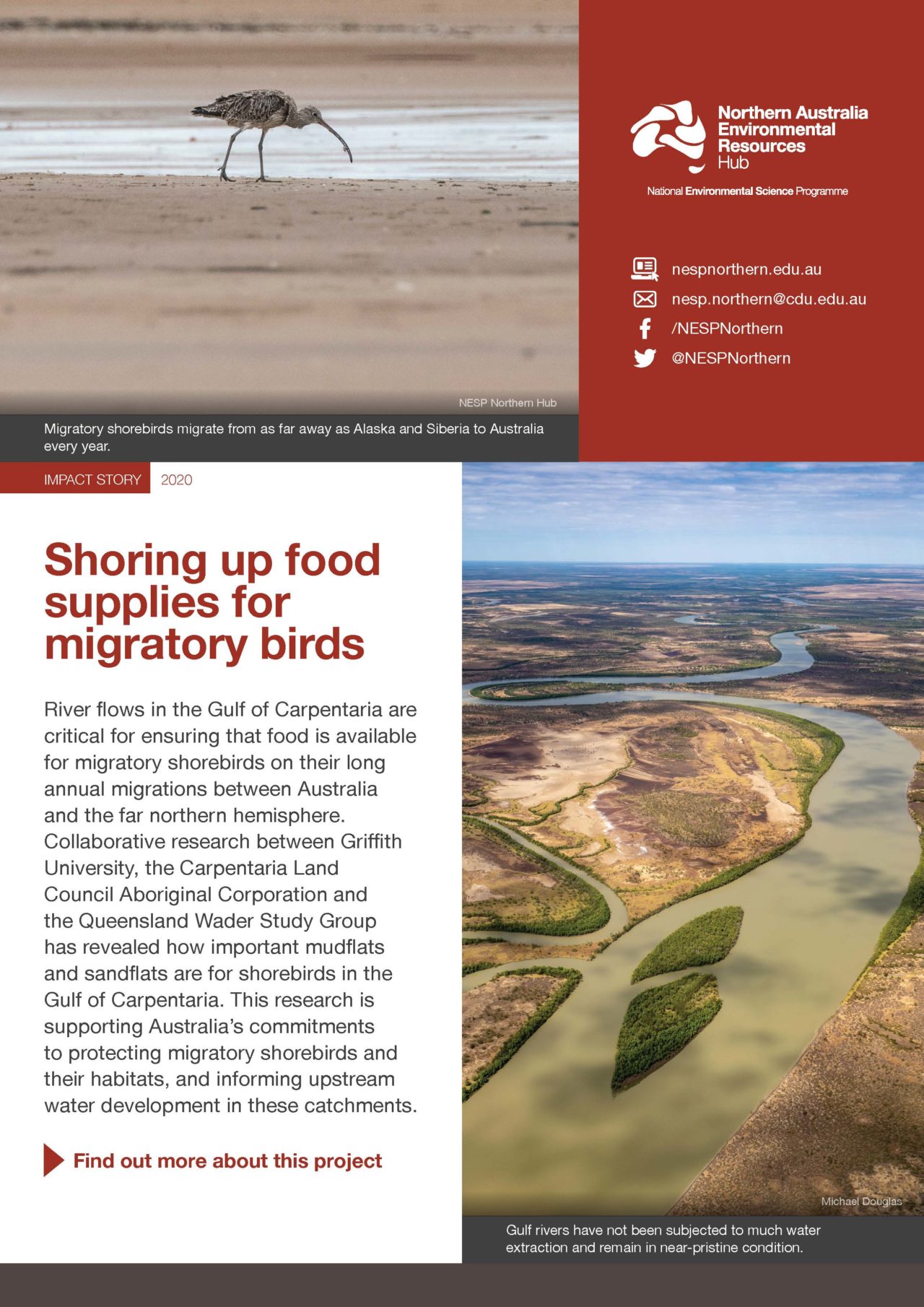 Links between Gulf rivers and food for migratory shorebirds