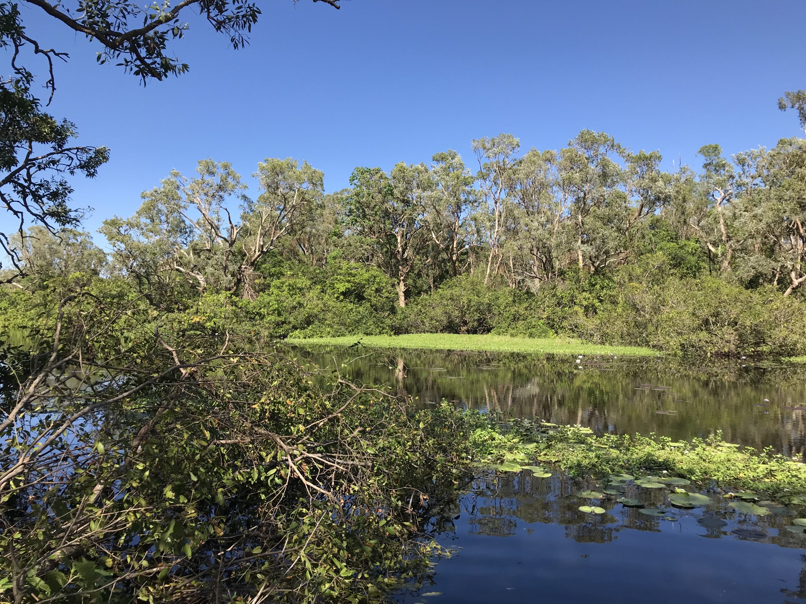 Hotspots for algal growth in a tropical river floodplain - NESP ...
