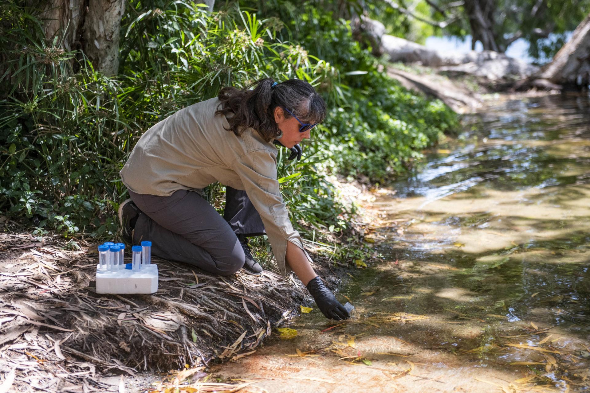 eDNA methods for tropical waters - Northern Australia