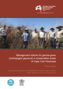 Improving gamba grass control on Cape York Peninsula