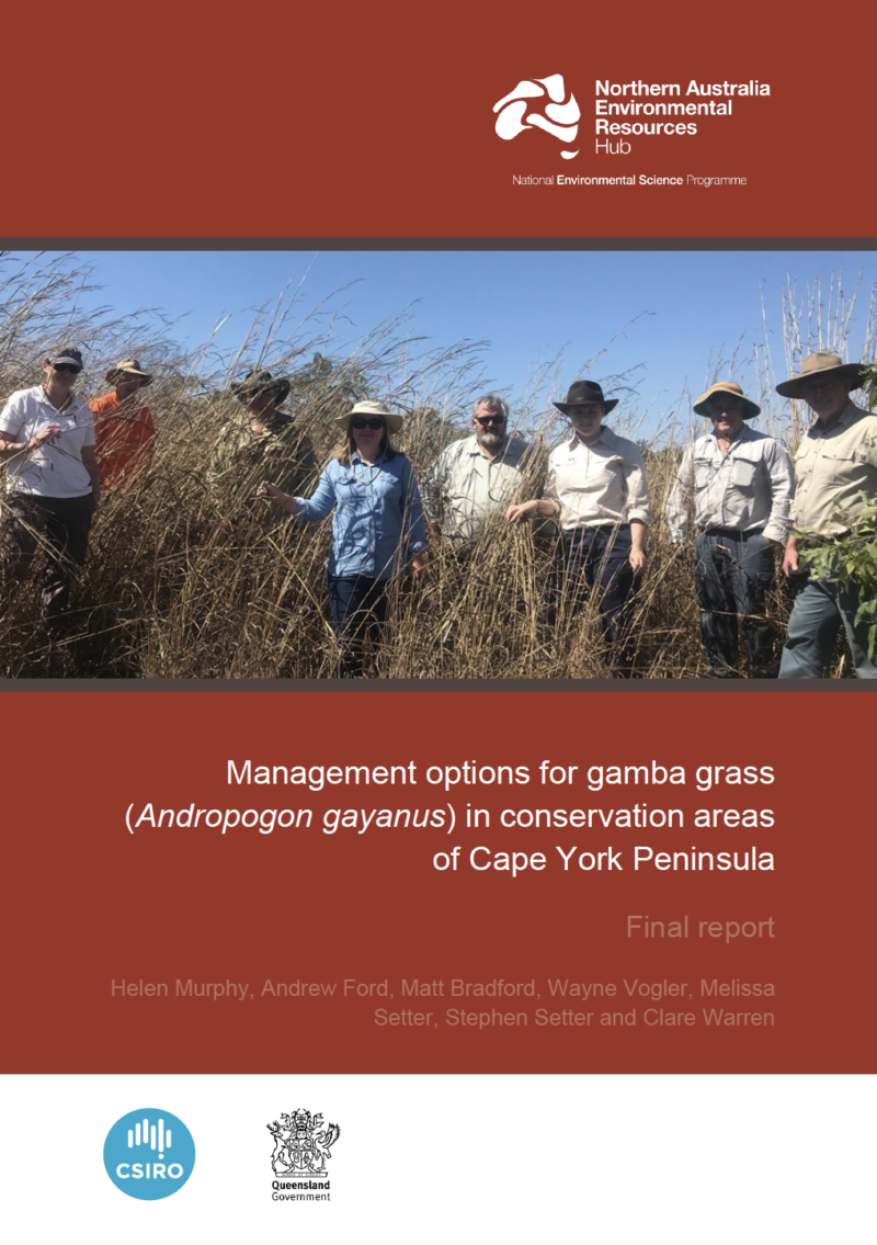 Improving gamba grass control on Cape York Peninsula