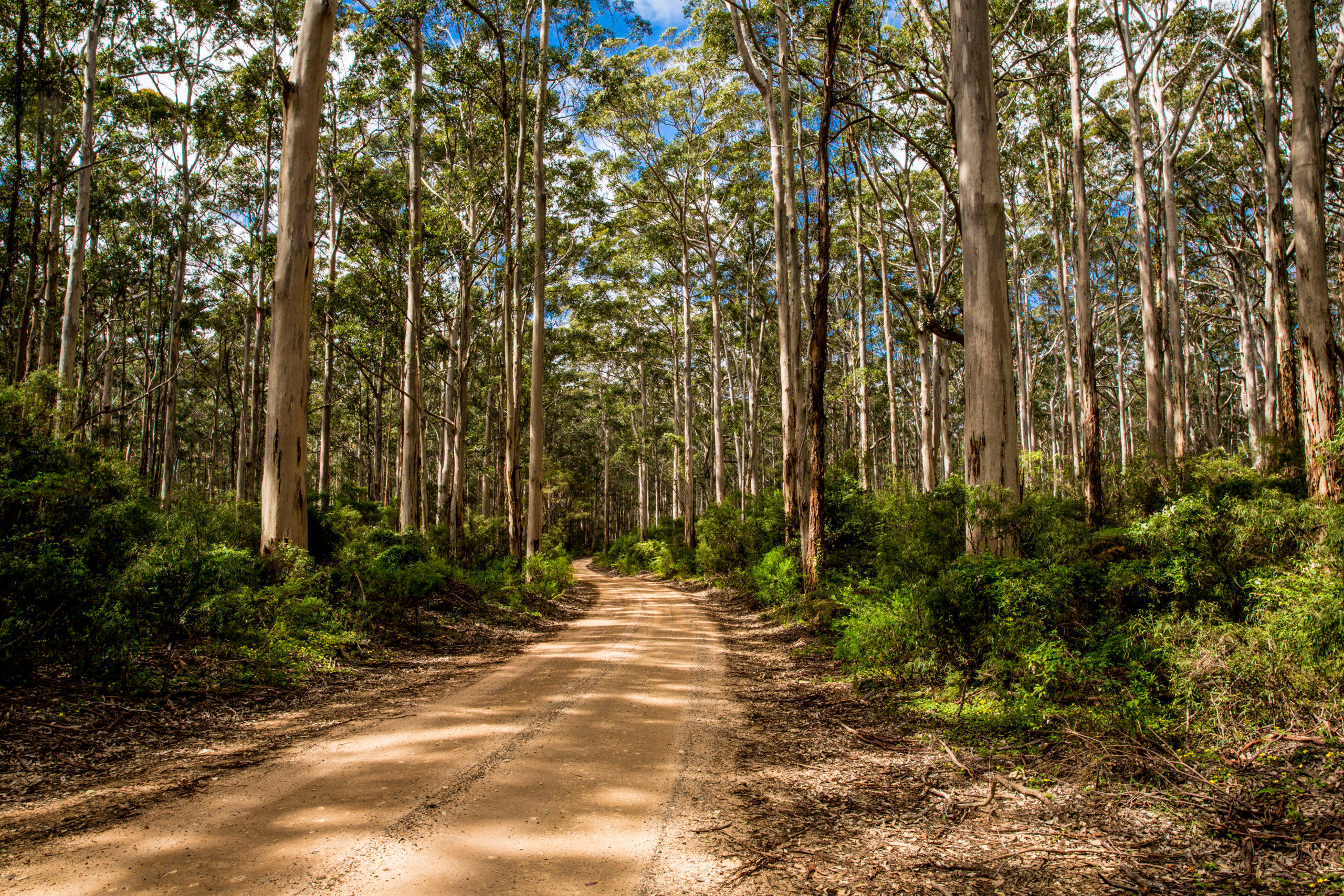 Welcome to the Resilient Landscapes Hub website - NESP Resilient ...
