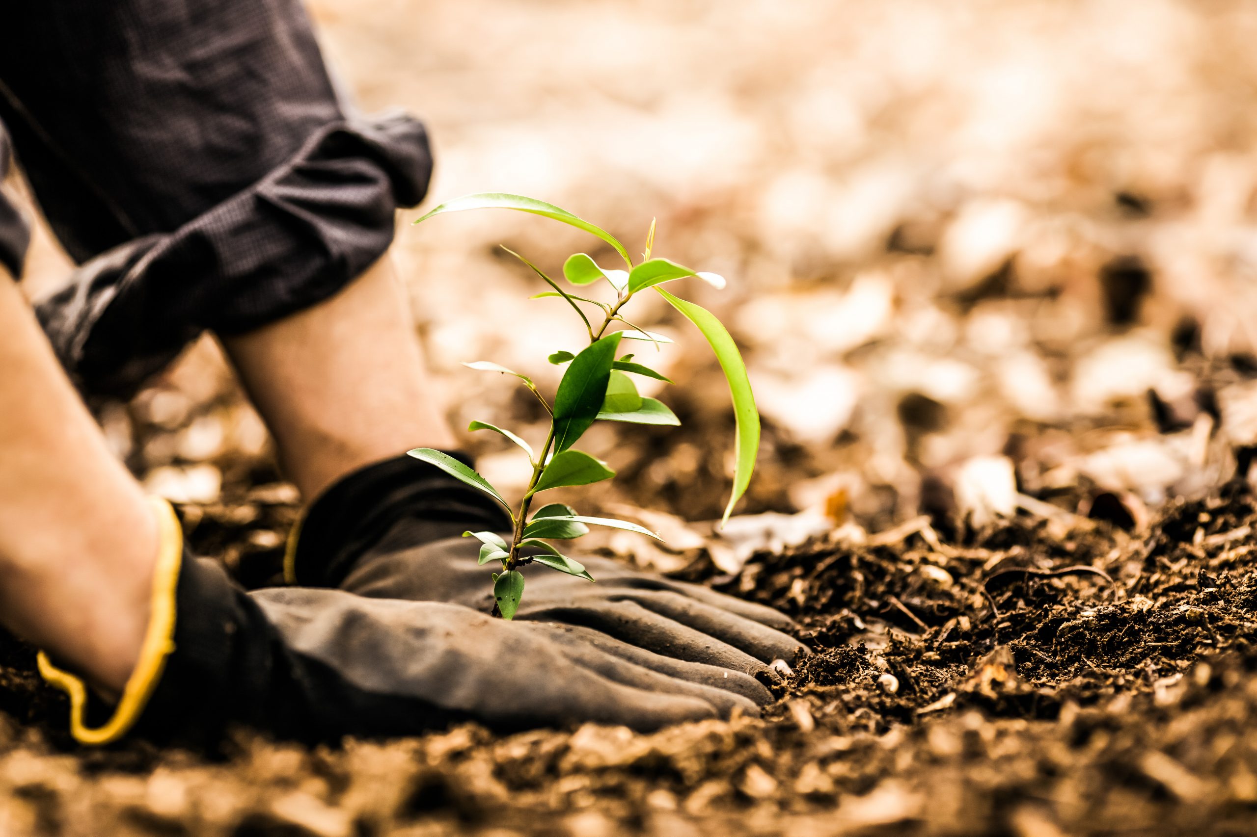 Work with us! - NESP Resilient Landscapes Hub