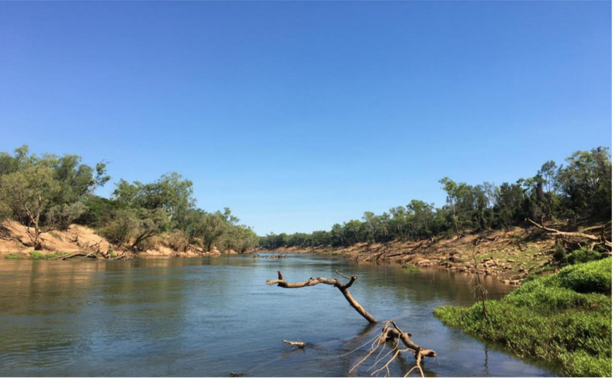 Environmental water needs for the Daly River - NESP Resilient ...