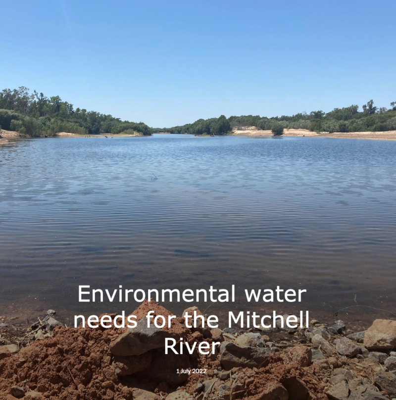 Environmental water needs for the Mitchell River (Story Map) - NESP ...