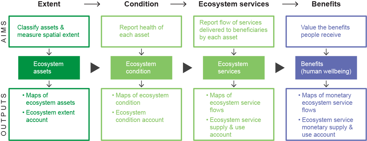 Environmental economic accounting in the Mitchell River catchment