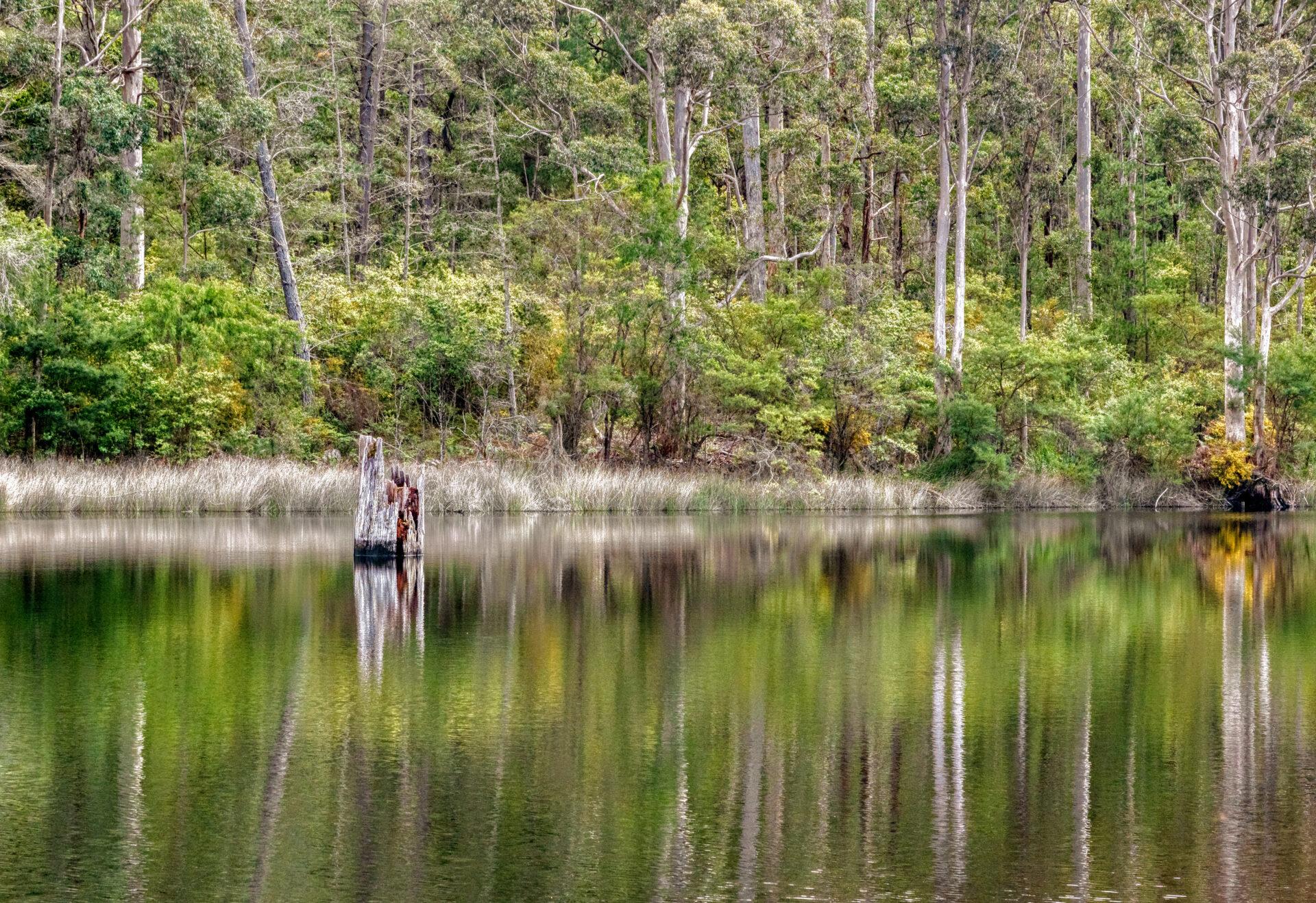 Ecological and Indigenous values of south-western Australian rivers ...