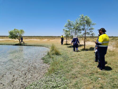 Managing savanna riparian zones in northern Australia
