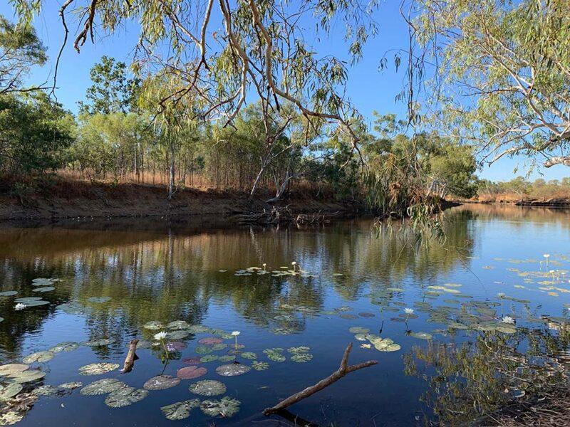 Environmental Economic Accounting – Developing and trialling approaches ...