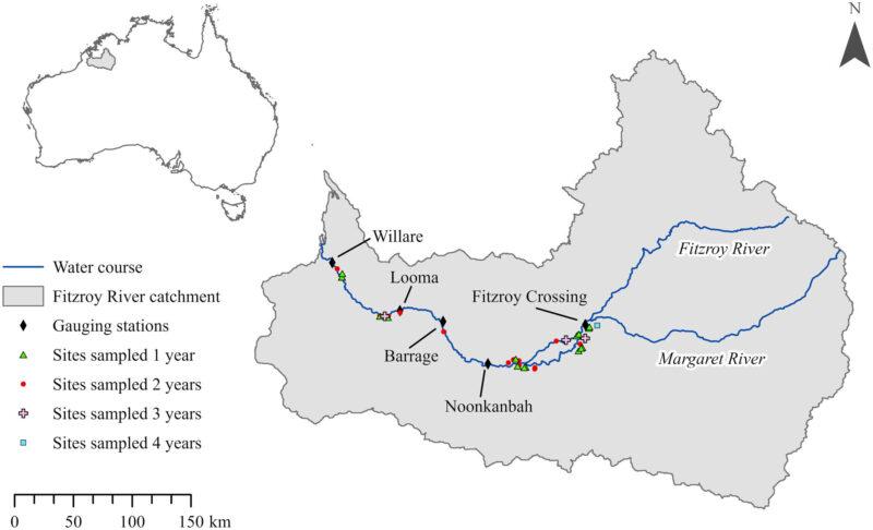 Big floods promote fish diversity on Martuwarra Fitzroy River ...